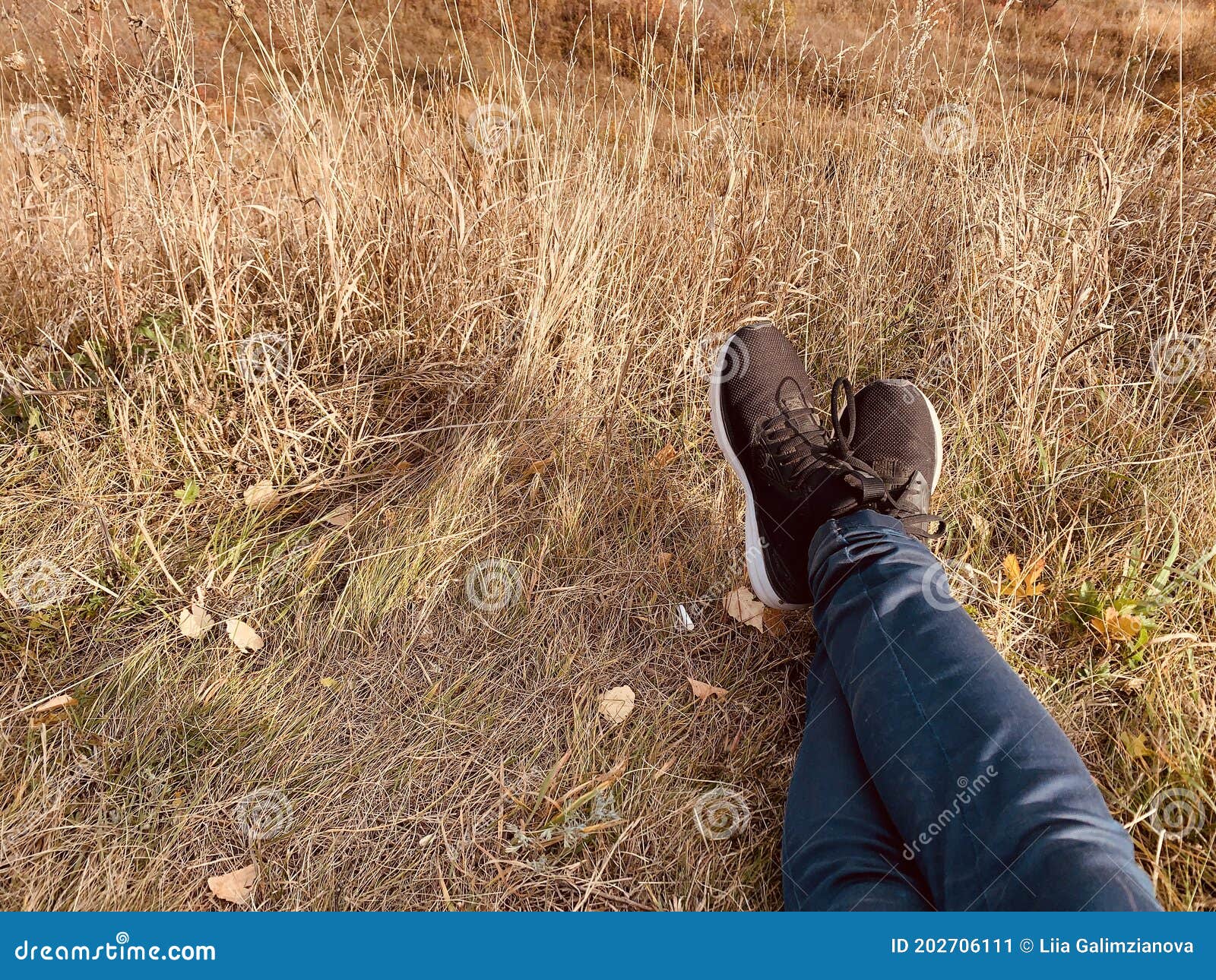 Relaxing in the field stock image. Image of time, field - 202706111