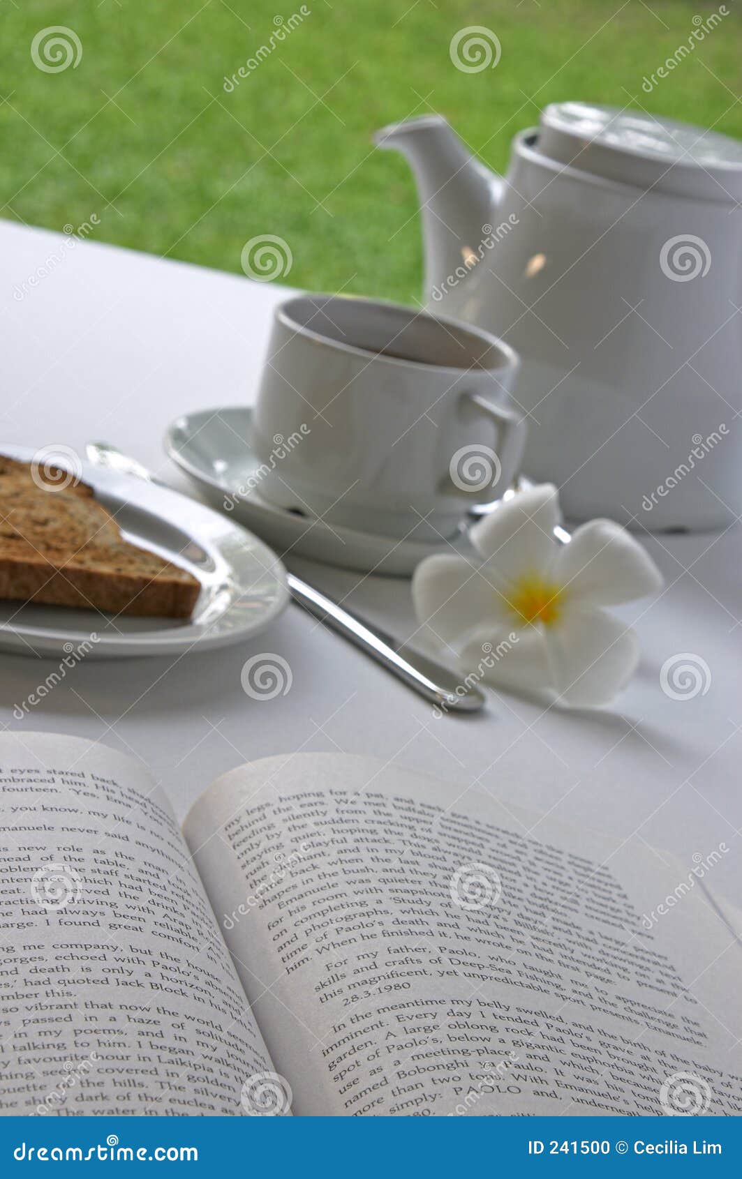 Relaxing with a Good Book during Weekend & Vacation Breakfasts Stock ...
