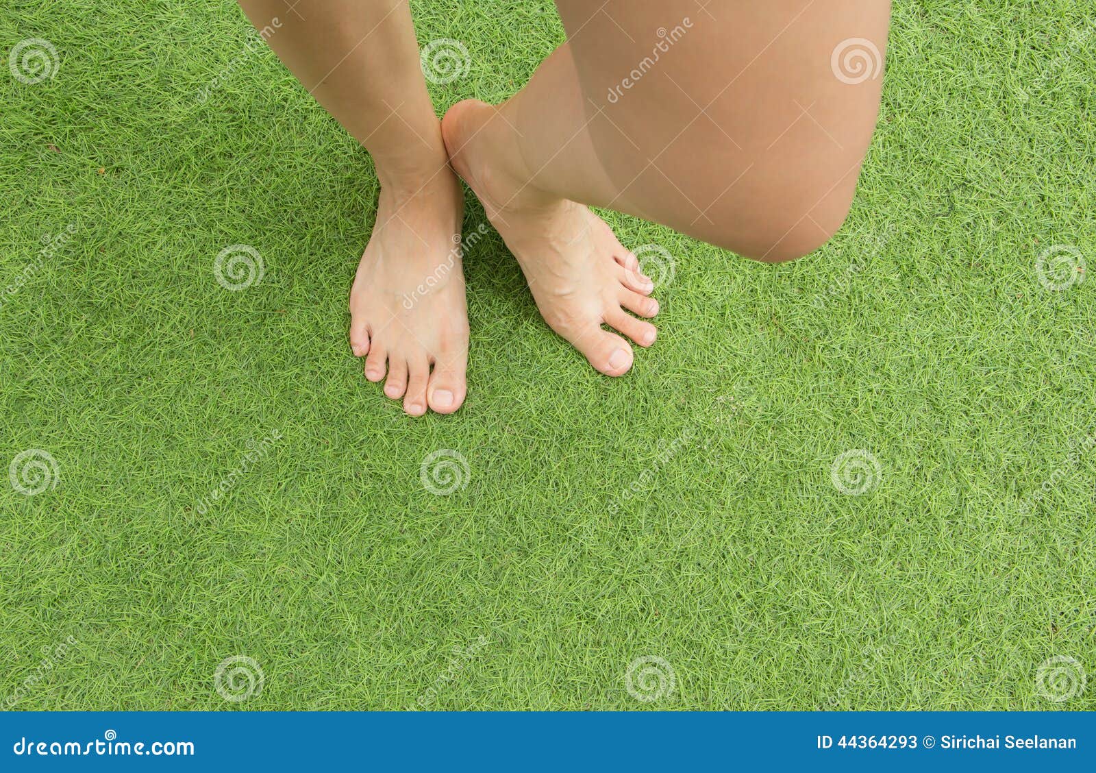 Relaxing on green grass . stock image. Image of people - 44364293