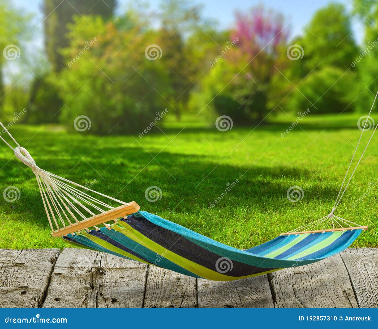 Relaxing on Hammock at Backyard Stock Photo - Image of park, lawn ...