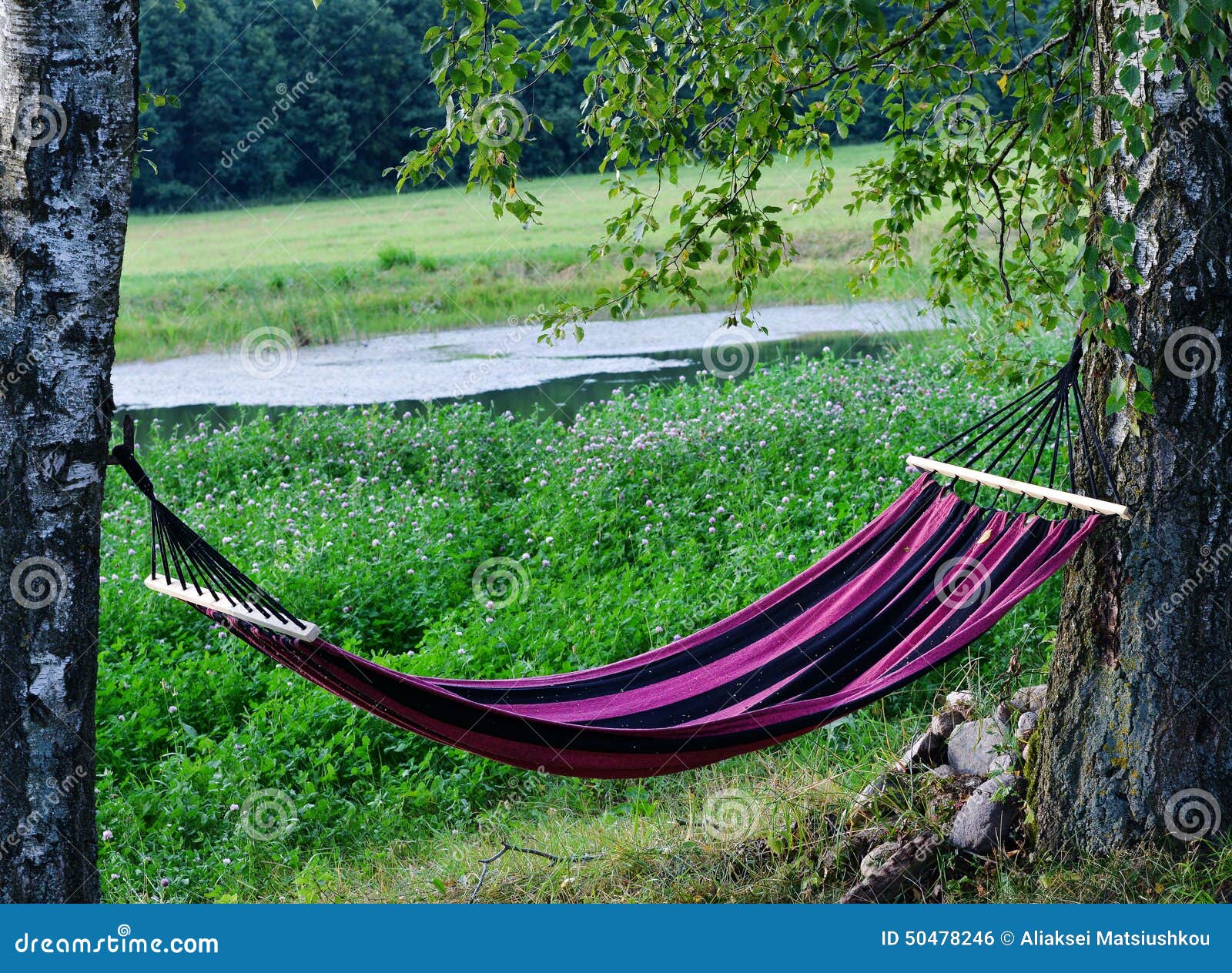 Relaxing on Hammock in Garden Stock Photo - Image of flowers, beauty ...
