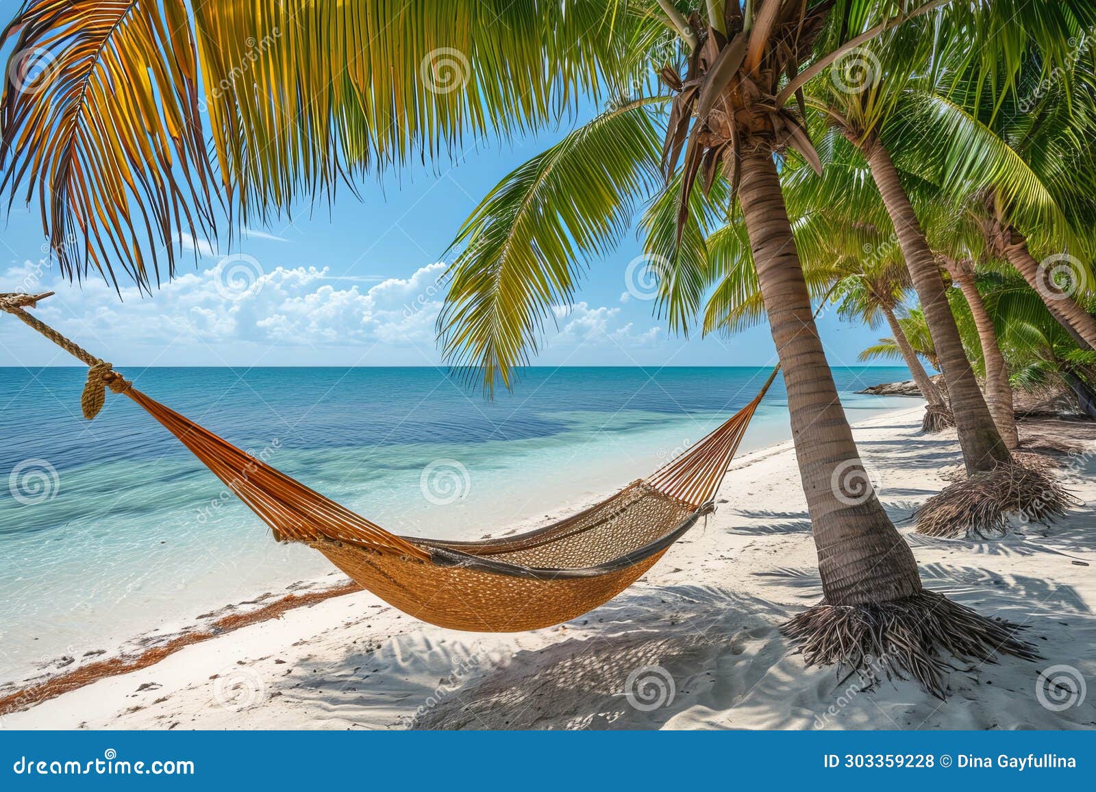 Relaxing Hammock between Palm Trees on a Tropical Beach,Relaxing Scene ... Relaxing Hammock between Palm Trees on a Tropical Beach,Relaxing Scene ...