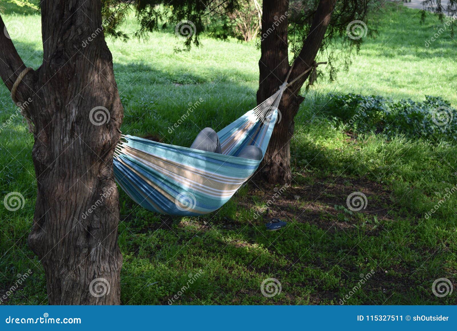 Relaxing in a hammock stock image. Image of season, contemplating ...