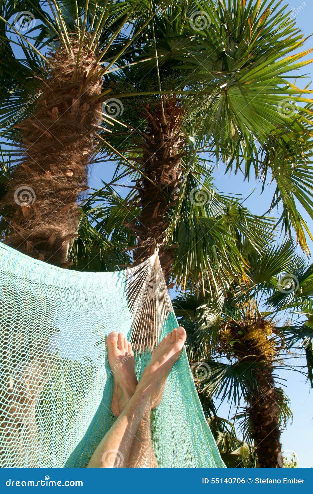 Relaxing on a Hammock stock photo. Image of paradise - 55140706