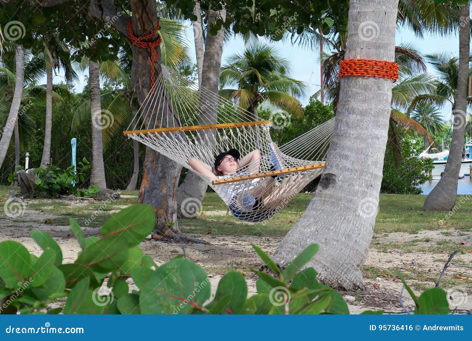 Relaxing in a Hammock stock photo. Image of pardise, napping - 95736416