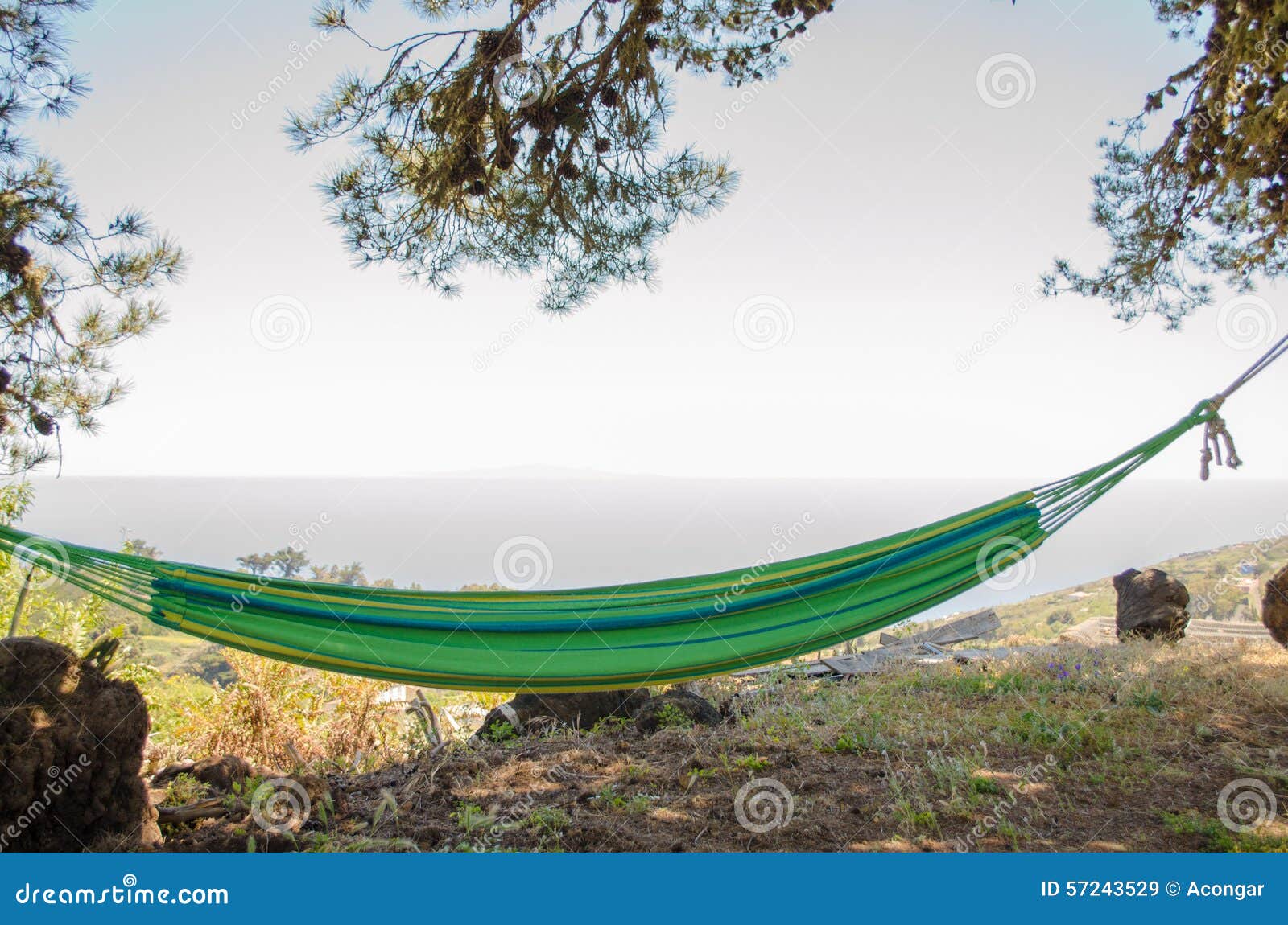 Relaxing on hammock. stock image. Image of relax, nature - 57243529