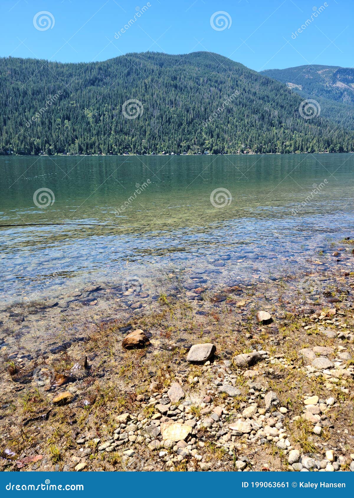 Relaxing by the Lake in the Summer Hot Outside Stock Image - Image of ...
