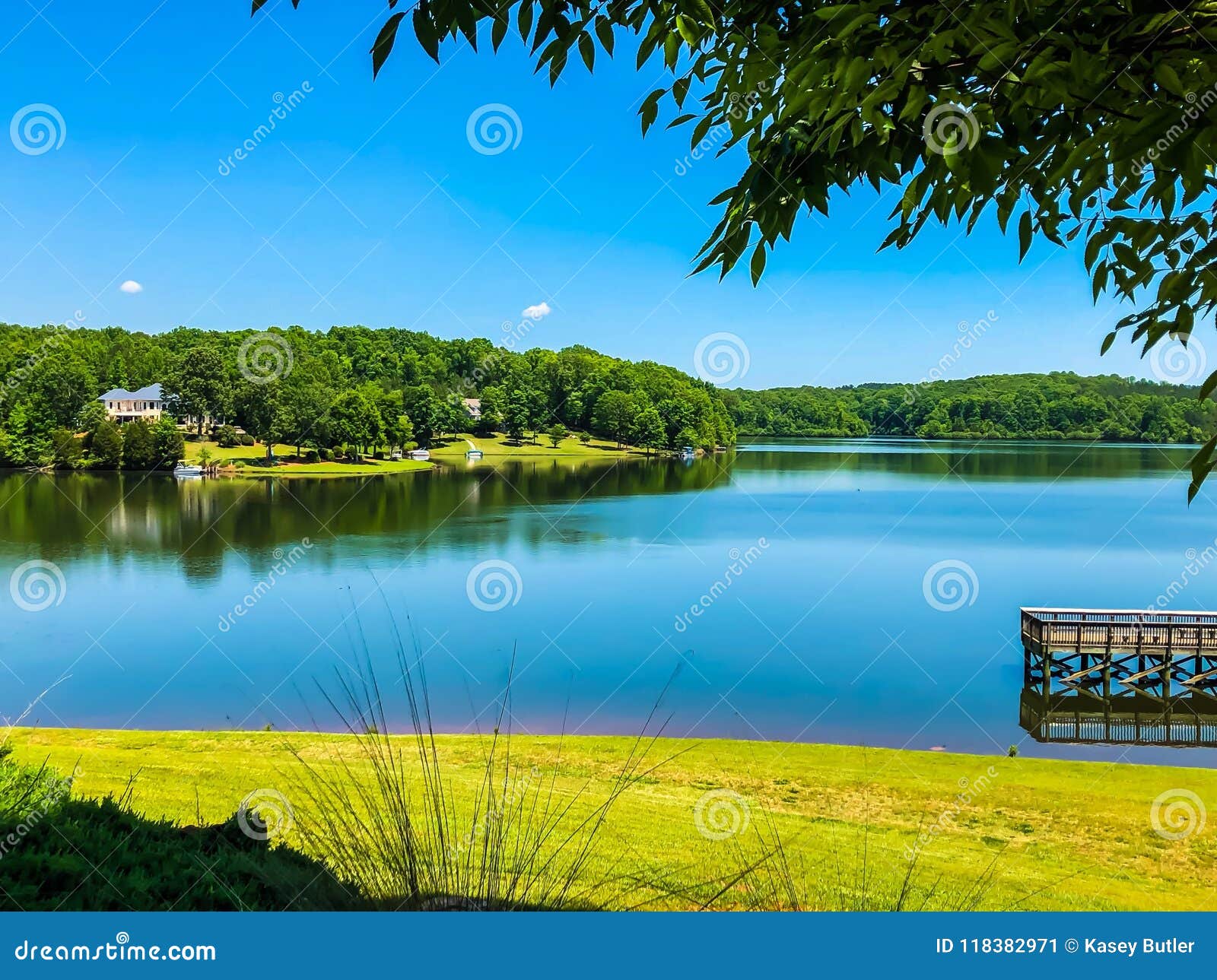 Relaxing Lakeside stock image. Image of green, tranquil - 118382971