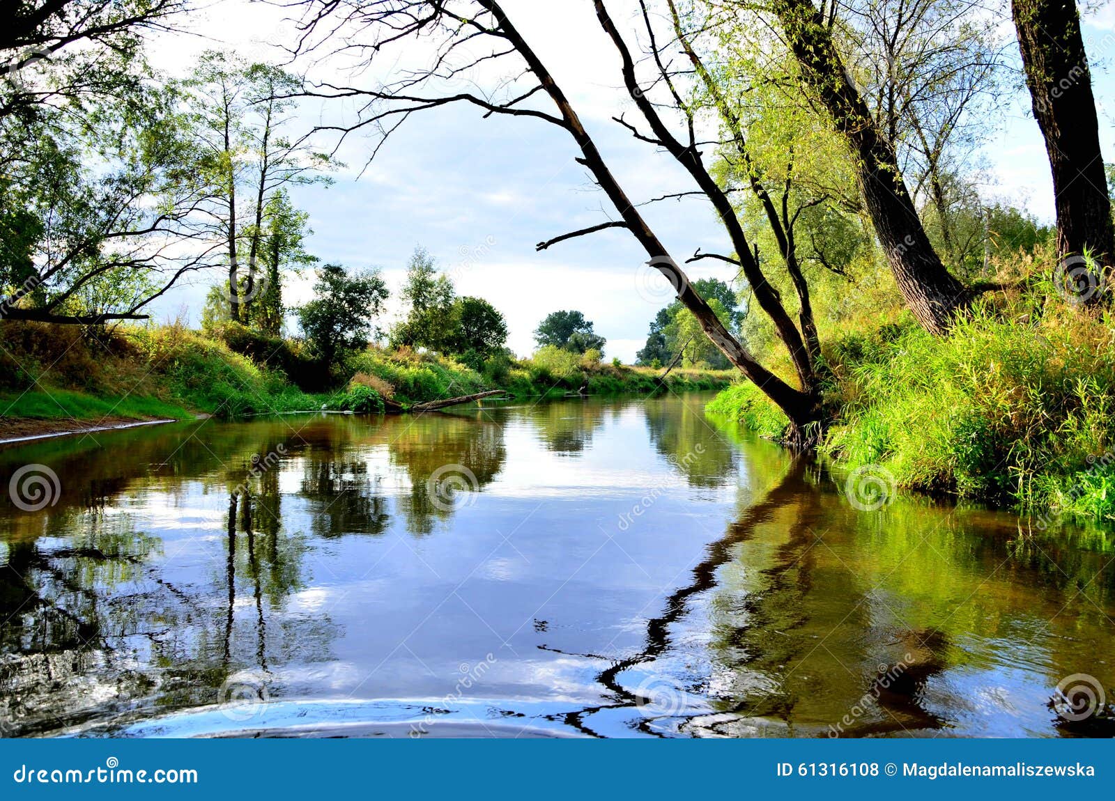 Relaxing landscape stock photo. Image of river, rest - 61316108