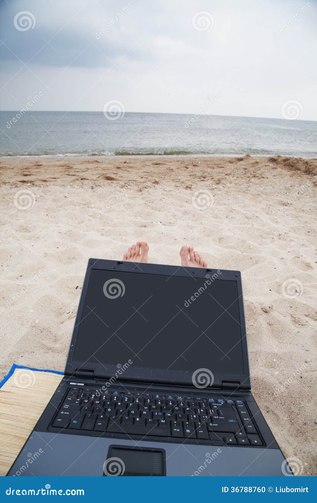 Relaxing with Laptop on Beach Stock Photo - Image of rest, resort: 36788760