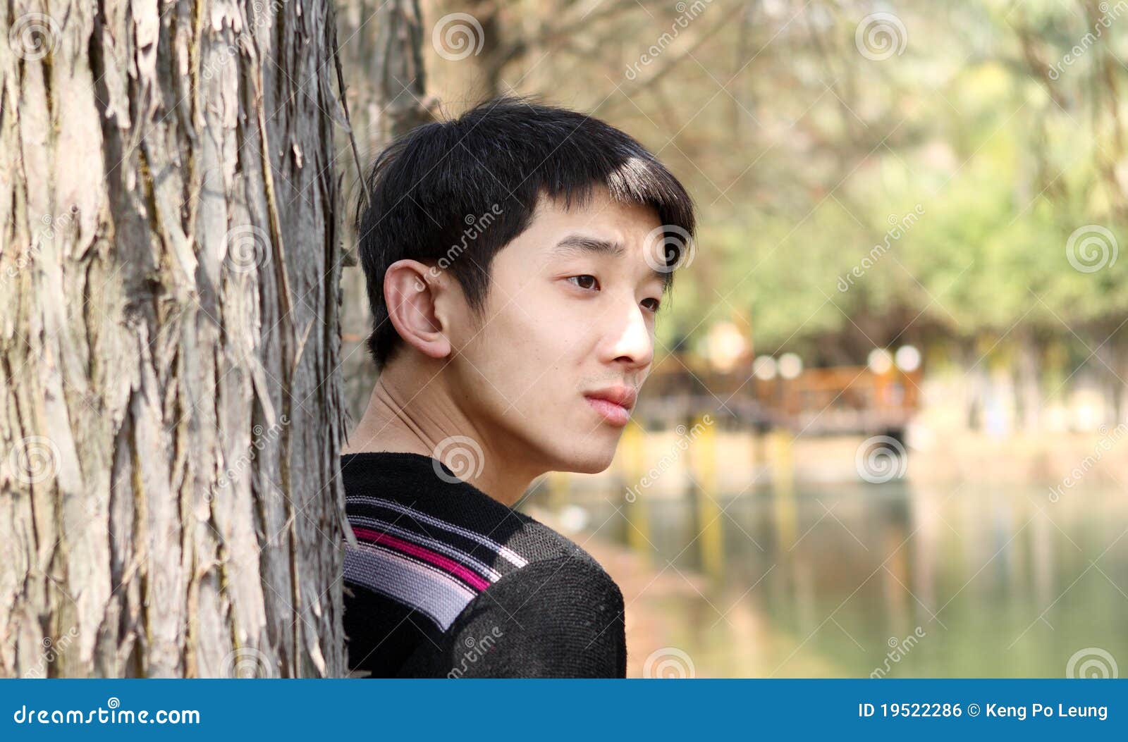 Relaxing man on tree stock photo. Image of natural, fall - 19522286