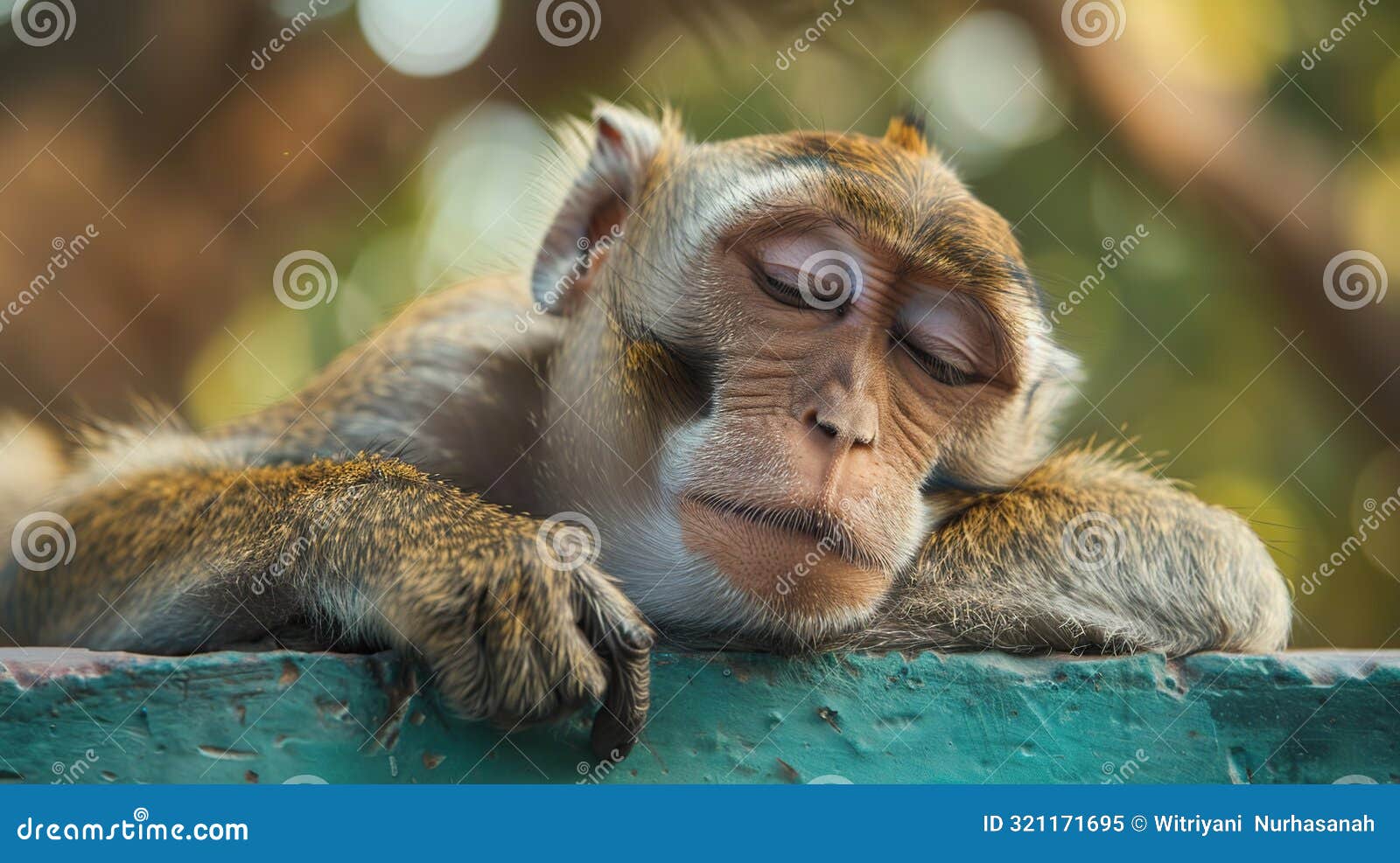 A Relaxing Monkey Waiting for Food. Generative Ai Stock Illustration ...