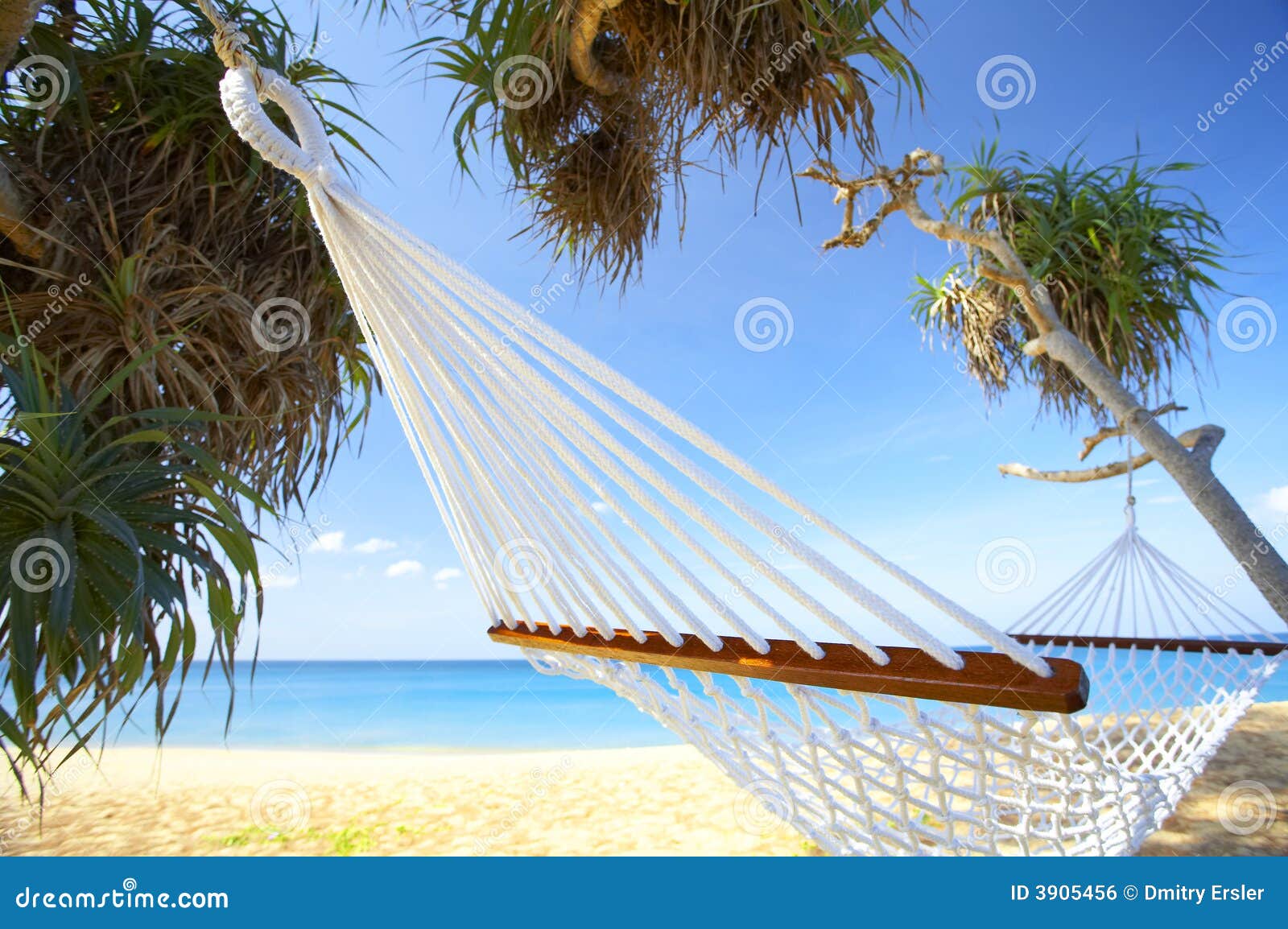 Relaxing net stock photo. Image of cruise, nature, beach - 3905456