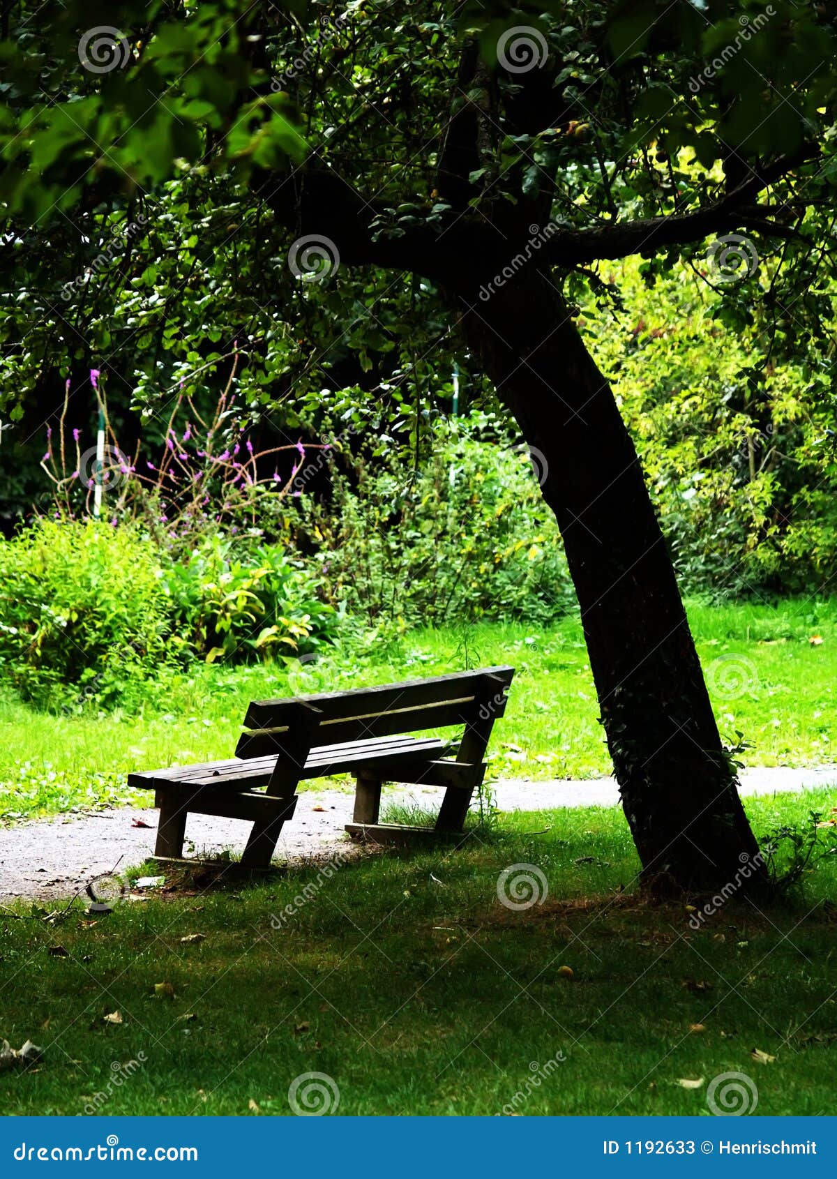 Relaxing in the park stock image. Image of lands, leafage - 1192633