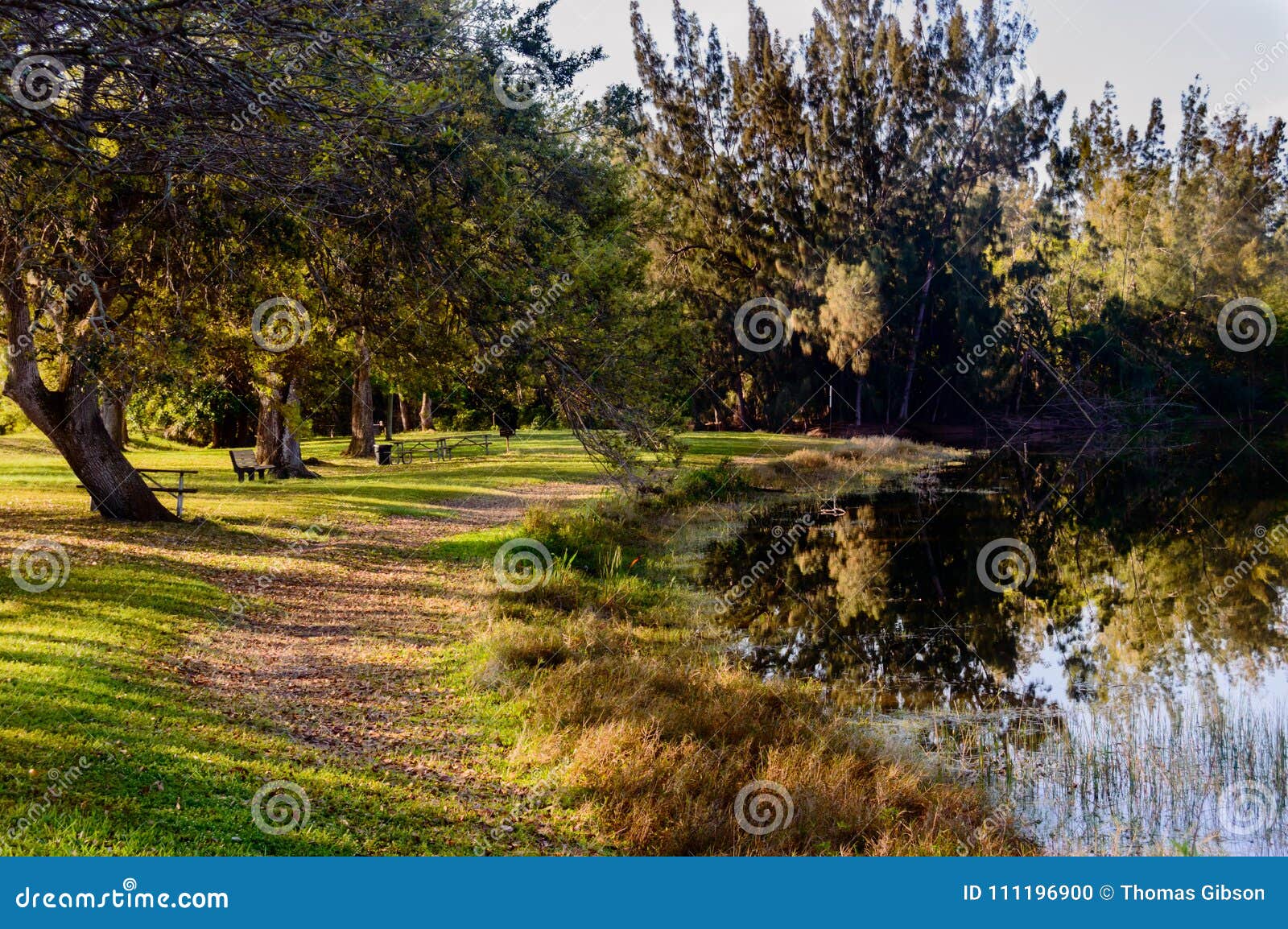 Relaxing park lake stock photo. Image of city, landscape - 111196900