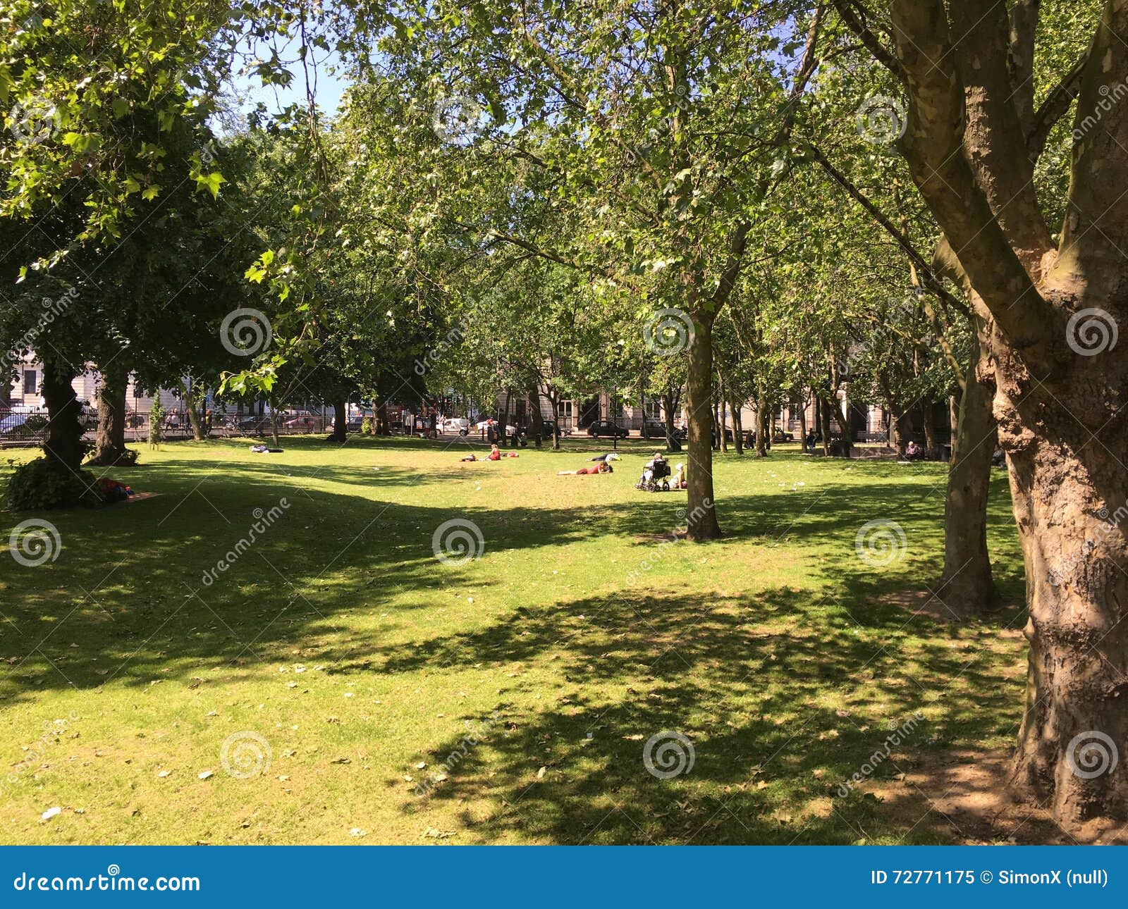 Relaxing in the park editorial image. Image of relaxing - 72771175
