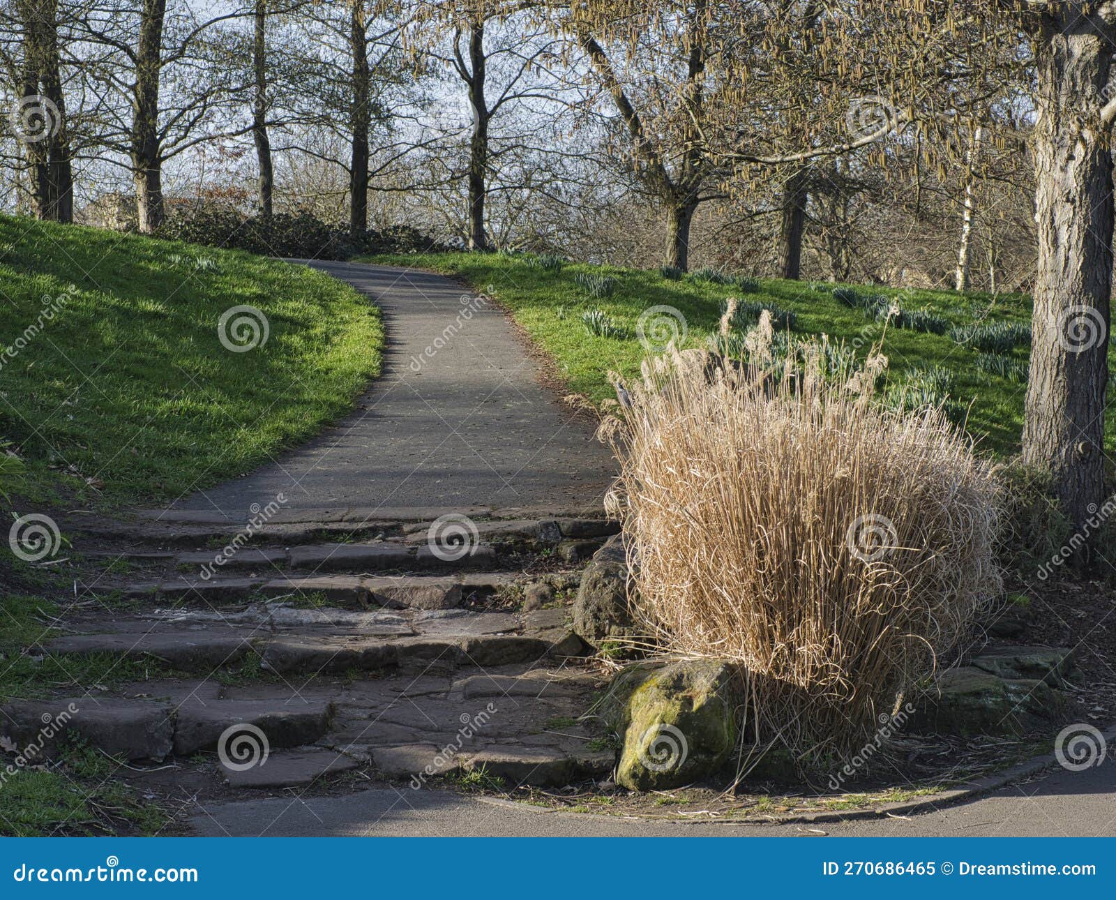 Relaxing Park Scene in Spring Stone Steps Stock Image - Image of leaf ...