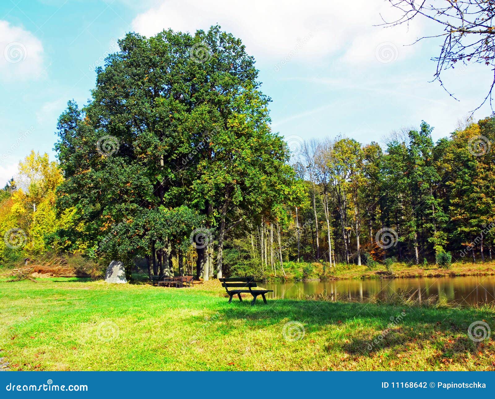Relaxing place in a park stock photo. Image of green - 11168642