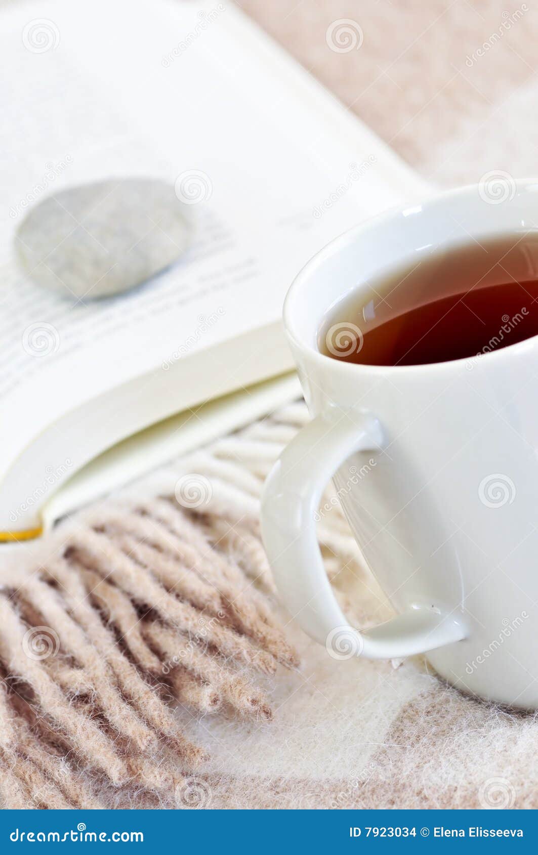 Relaxing reading with tea stock photo. Image of drinks - 7923034