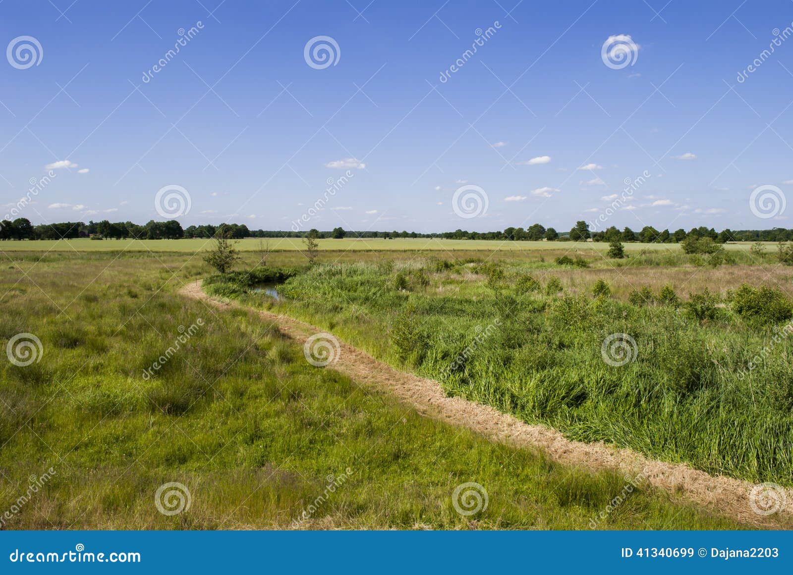 Relaxing stock image. Image of field, spot, relaxing - 41340699