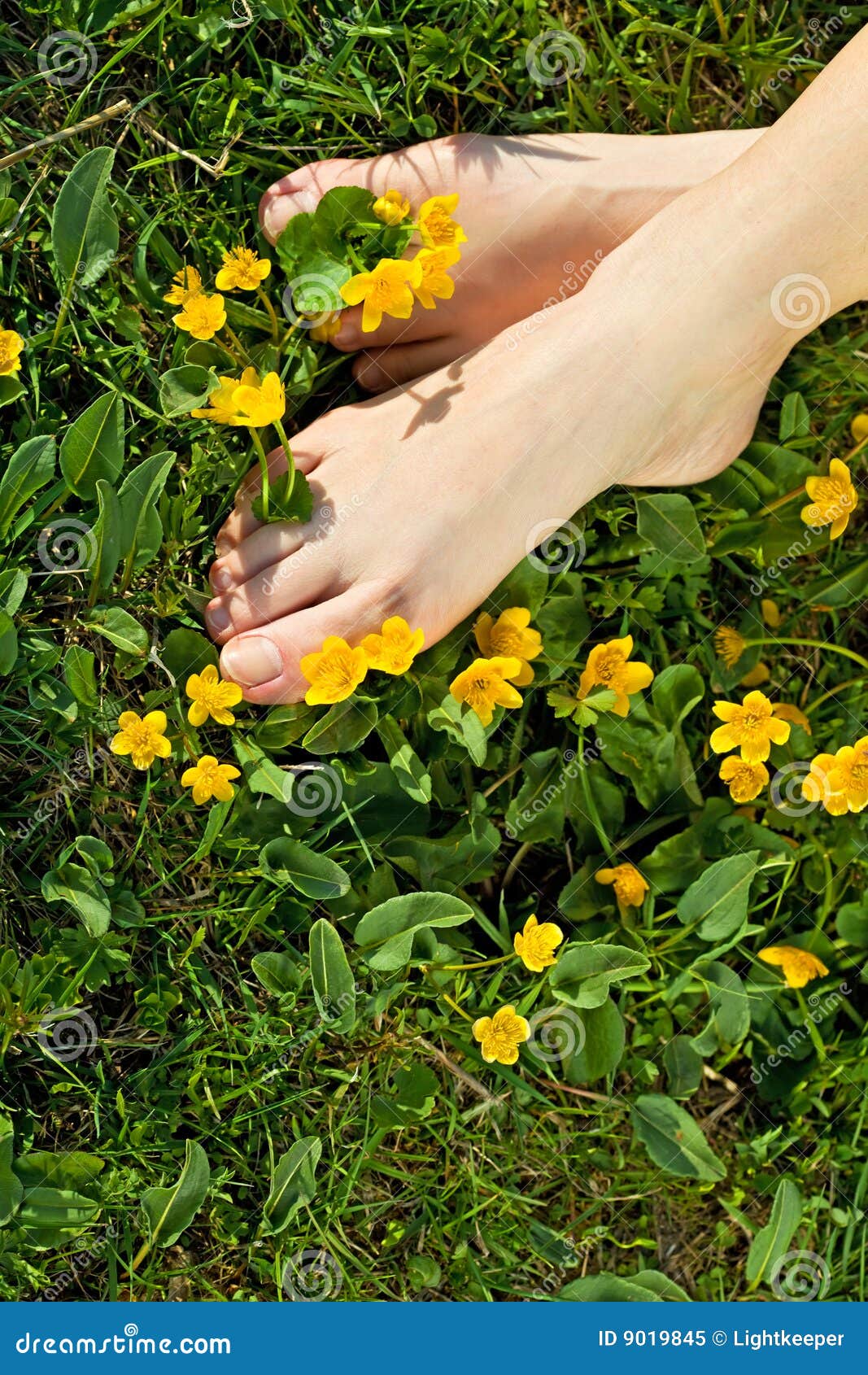 Relaxing Spring Feet - the Joy of Simple Things Stock Image - Image of ...