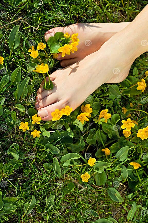 Relaxing Spring Feet - the Joy of Simple Things Stock Image - Image of ...