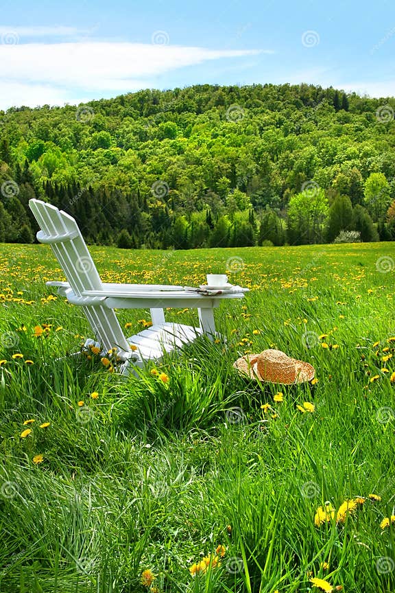 Relaxing on a summer chair stock image. Image of country - 5280745