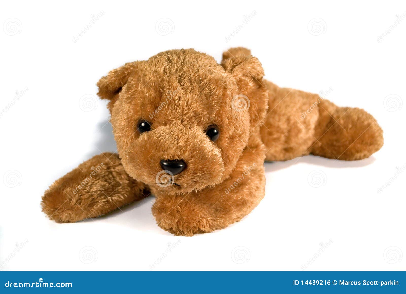 Relaxing Teddy Bear stock photo. Image of cute, relaxing - 14439216