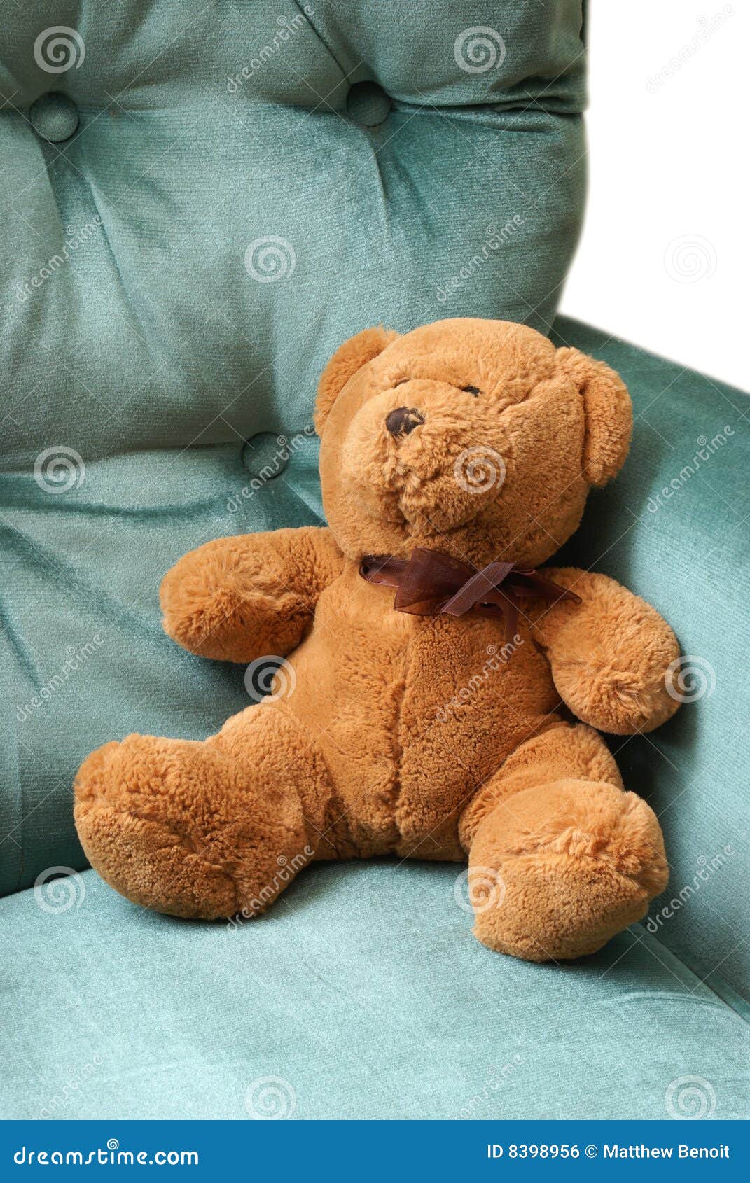Relaxing Teddy Bear stock photo. Image of sofa, seat, furry - 8398956