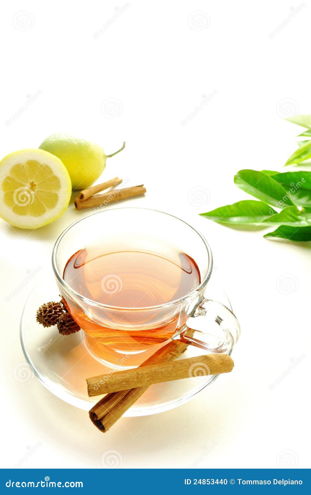 Relaxing tisane stock photo. Image of medicine, leaf - 24853440