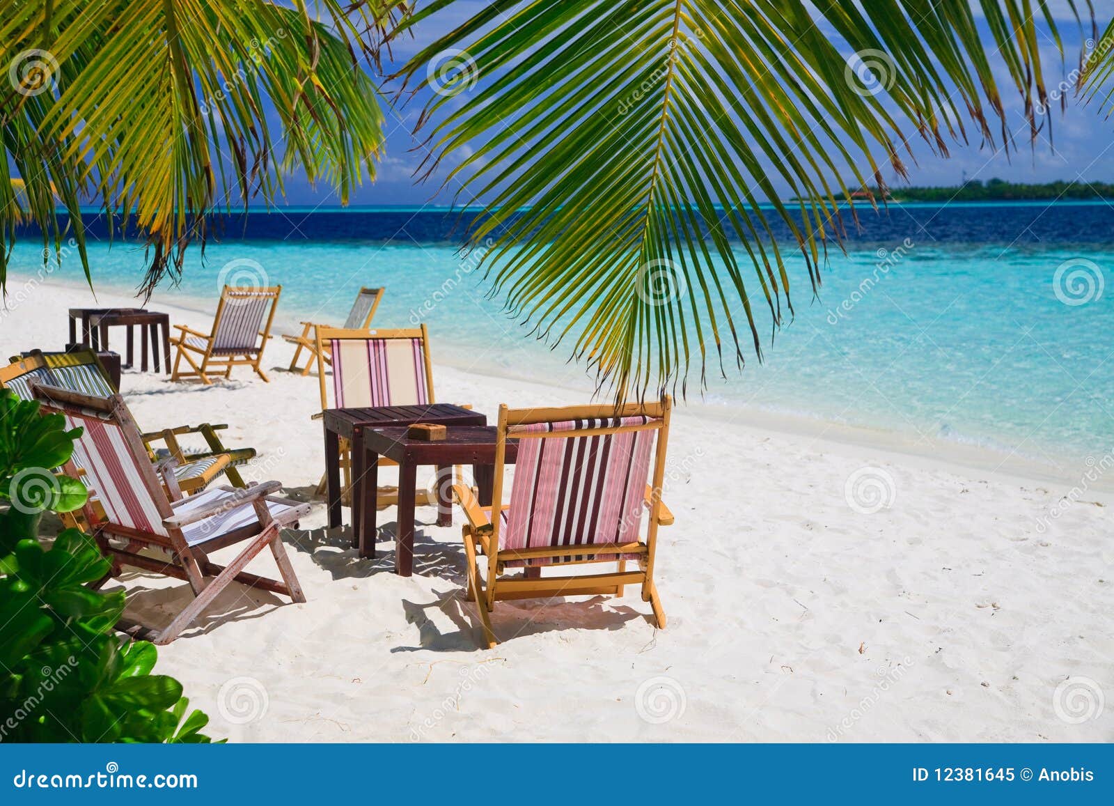 Relaxing on Tropical Paradise Stock Image - Image of palm, parasol ...