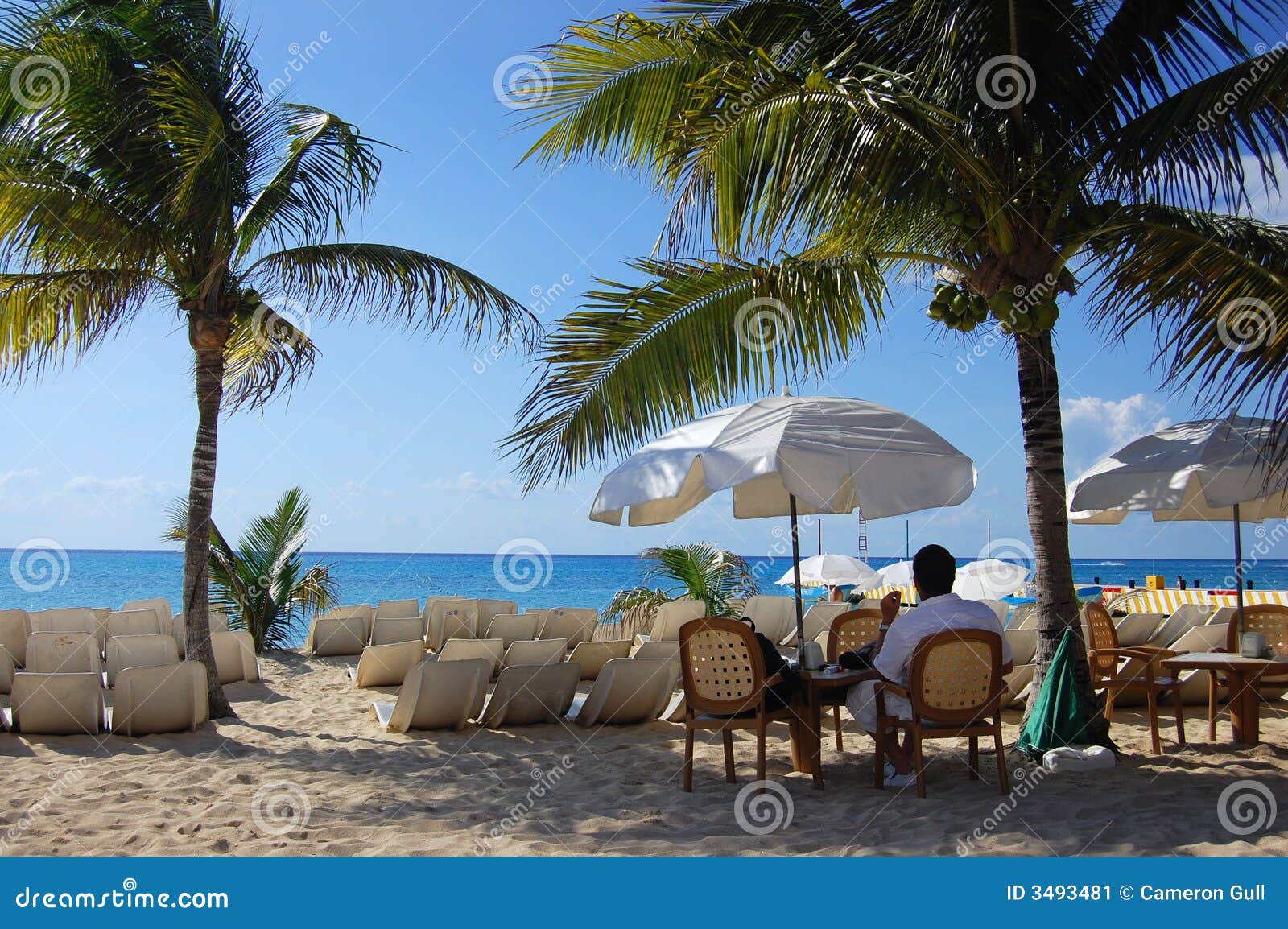 Relaxing in Tropical Paradise Stock Image - Image of chaise, lounge ...