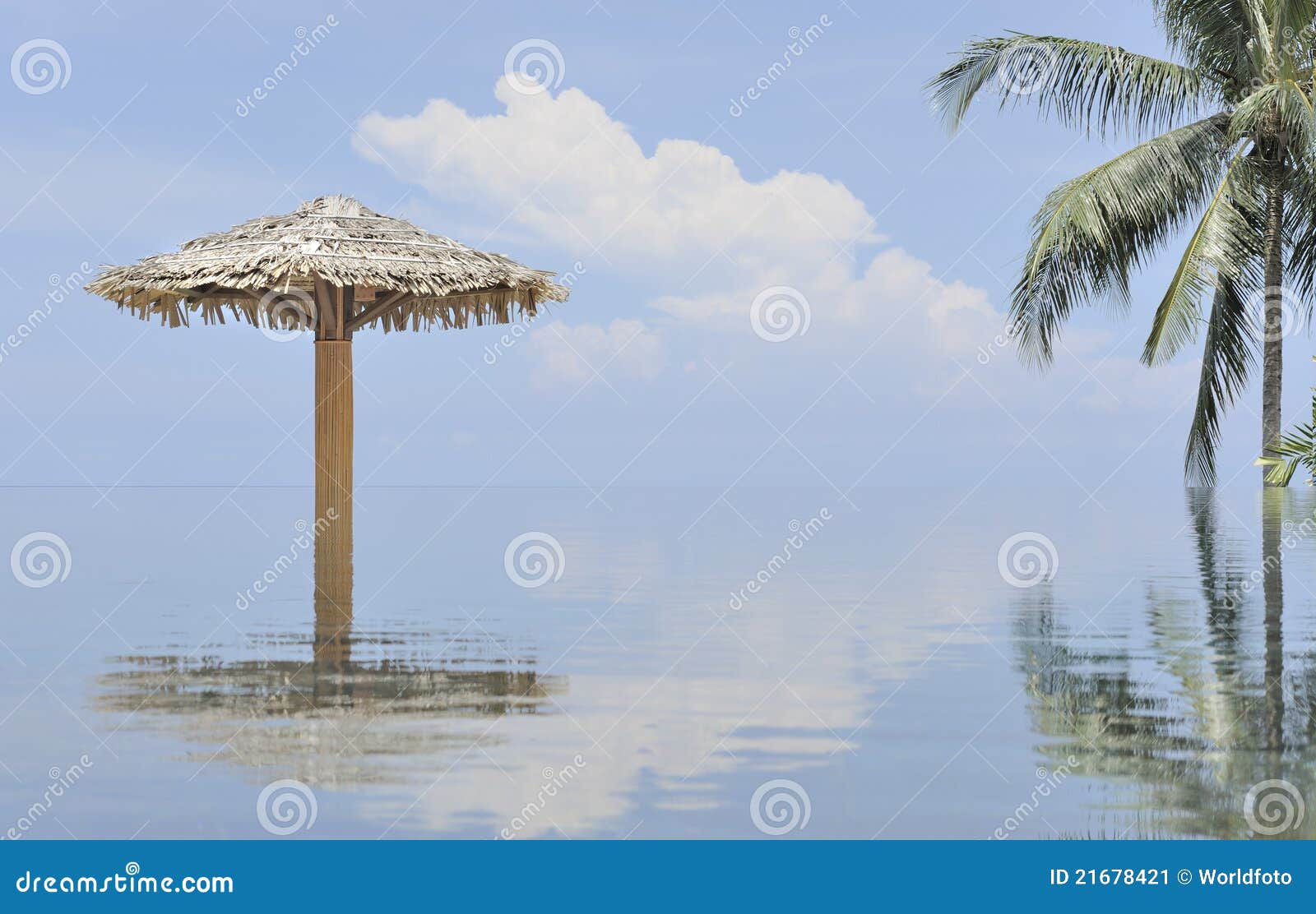 Relaxing Umbrella, Palm and Infinity Pool Scene Stock Image - Image of ...