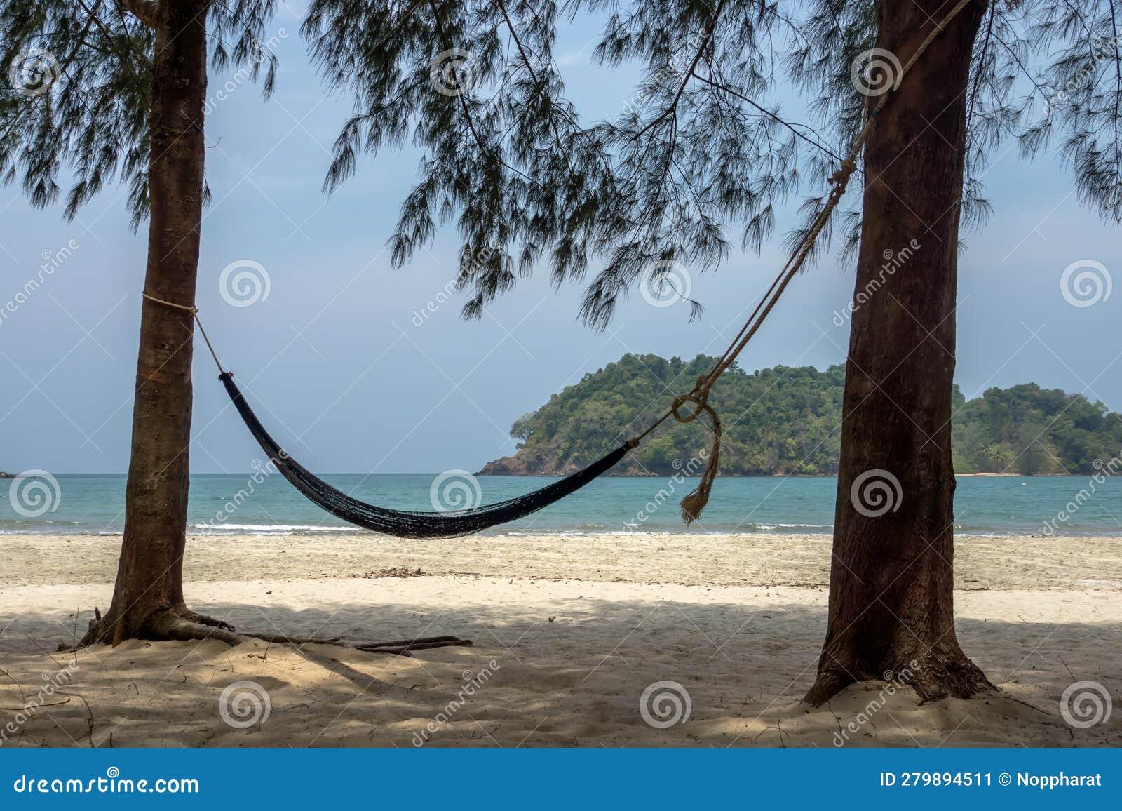 Relaxing Under Pine Trees on the Beach Stock Image - Image of pine ...