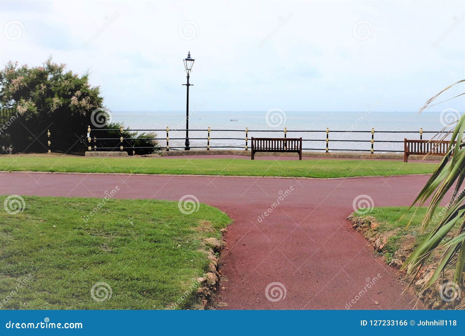 September view. stock photo. Image of rest, people, palm - 127233166