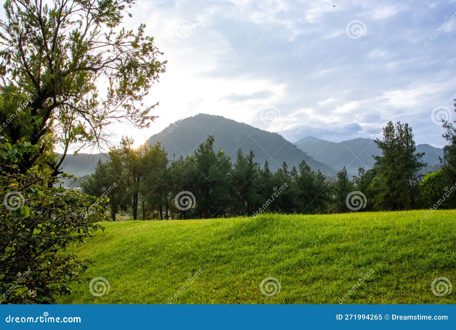 A Relaxing View of Mountain, Grass and Trees Stock Image - Image of ...