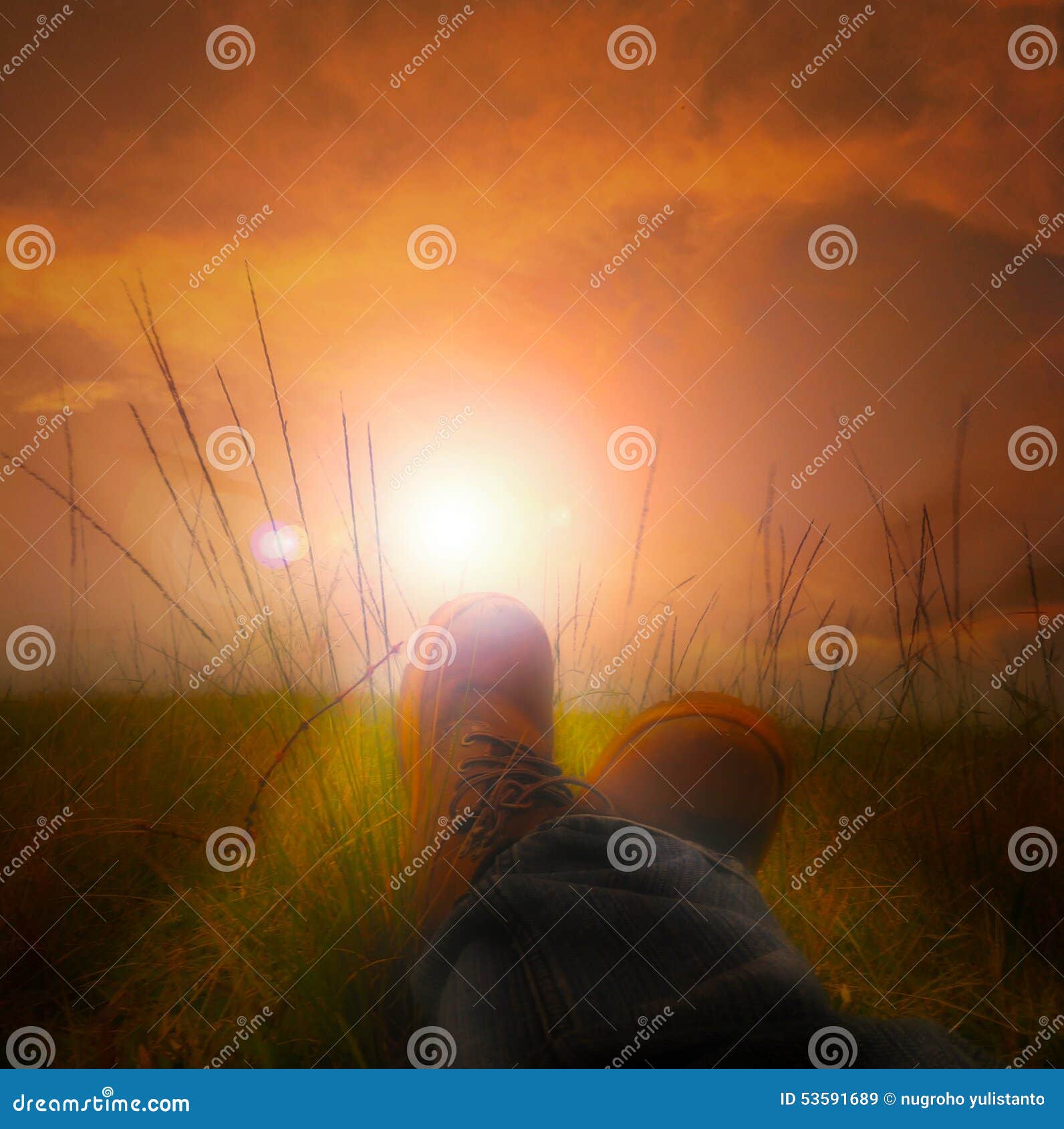 Relaxs stock image. Image of tree, nature, waiting, imagine - 53591689