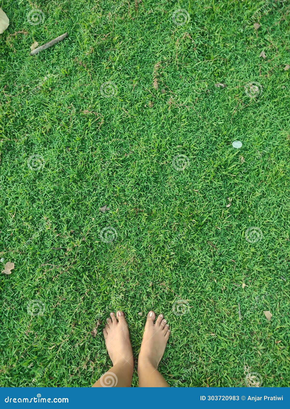 Release Stress by Grounding Yourself in the Grass Stock Image - Image ...