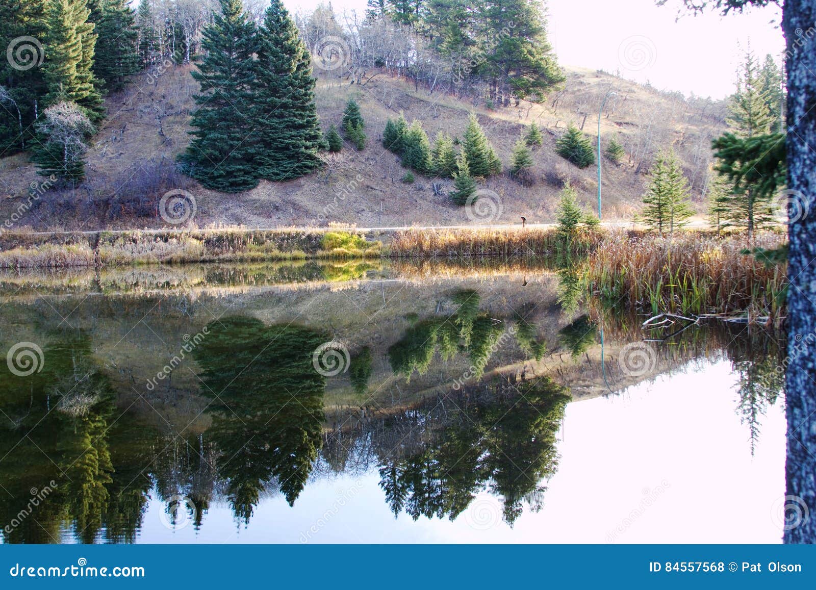 Relection in Water on a Calm Day Stock Photo - Image of scenery ...