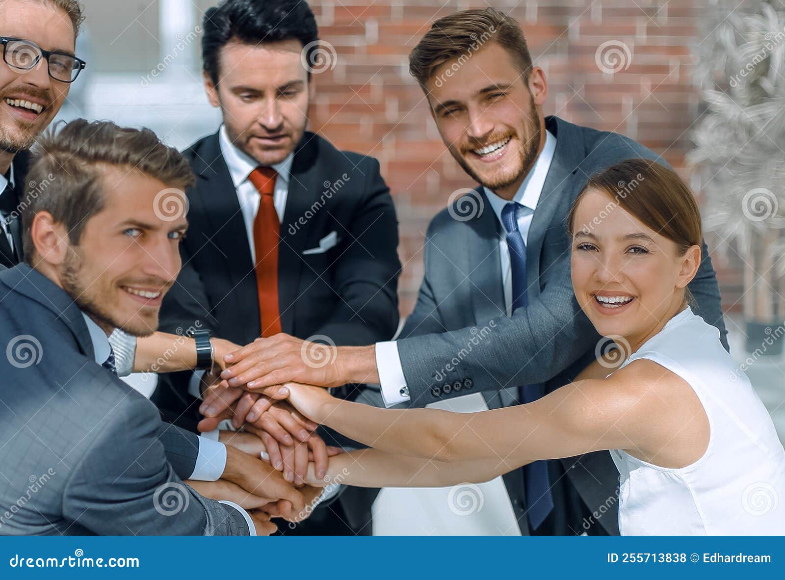 Reliable Business Team Standing in the Office Stock Photo - Image of ...