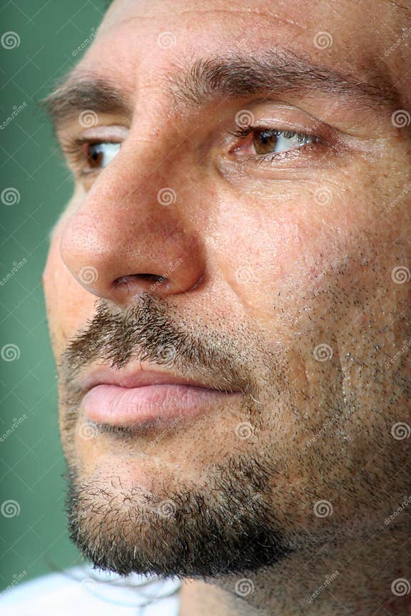 Reliable and Calm Men stock photo. Image of attitude, human - 3192702