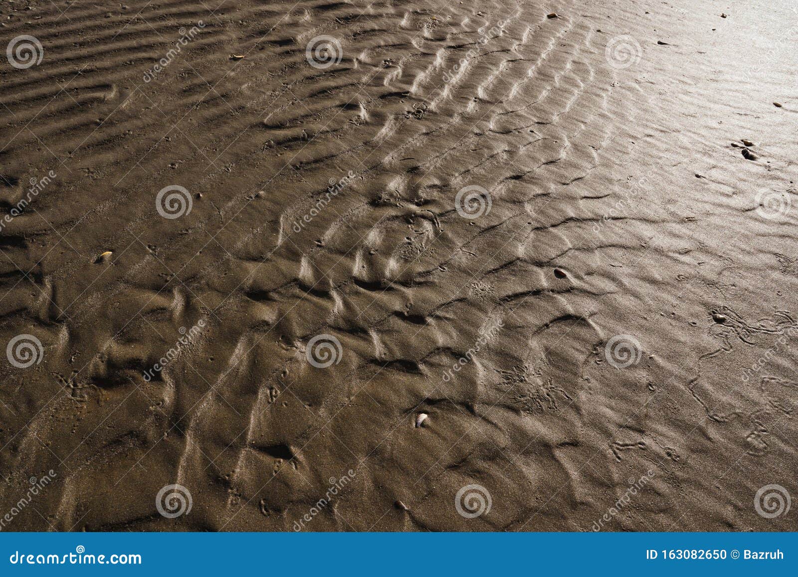 Relief surface of wet sand stock photo. Image of sandy - 163082650
