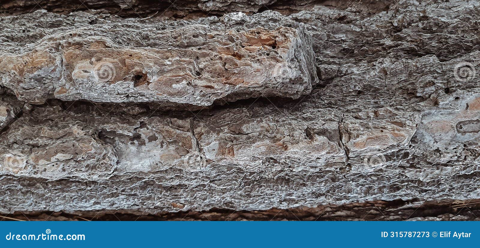 Relief Texture of the Dark Brown Bark of a Tree. Horizontal Photo of a ...