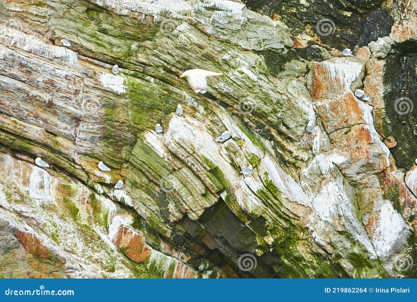 Relief and Texture of Red Stone with Patterns. Stone Natural Background ...