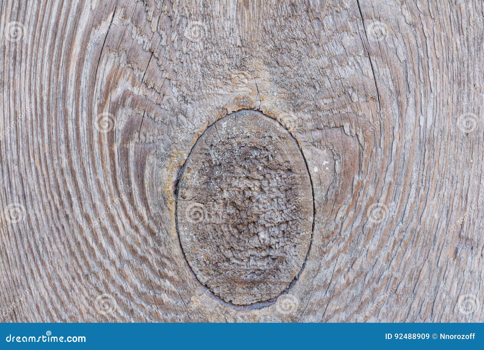 Relief Texture of the Surface of the Old Wooden Board with Poor ...