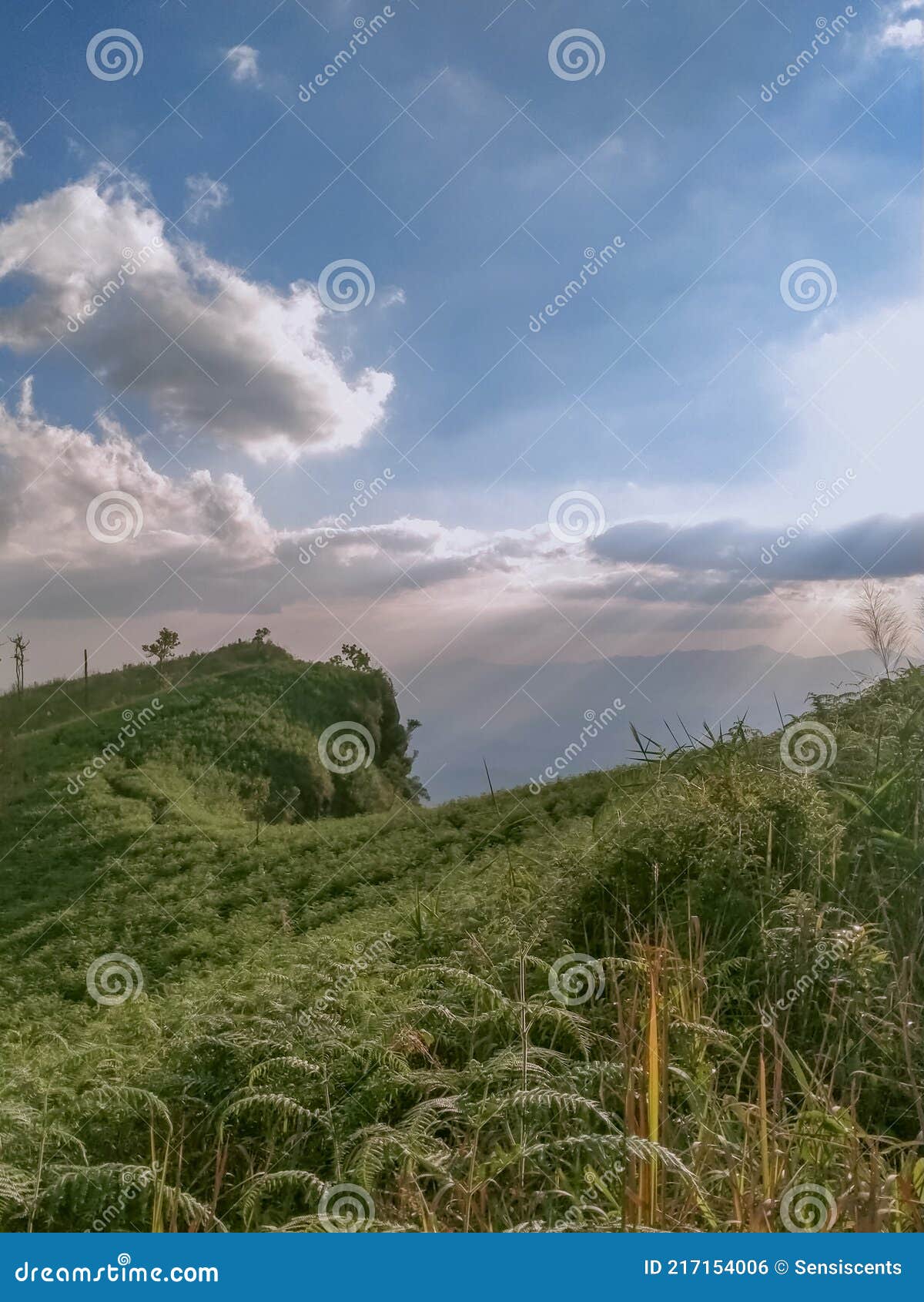 Relieve Nubes De La Cima De La Colina Foto de archivo - Imagen de cubo ...