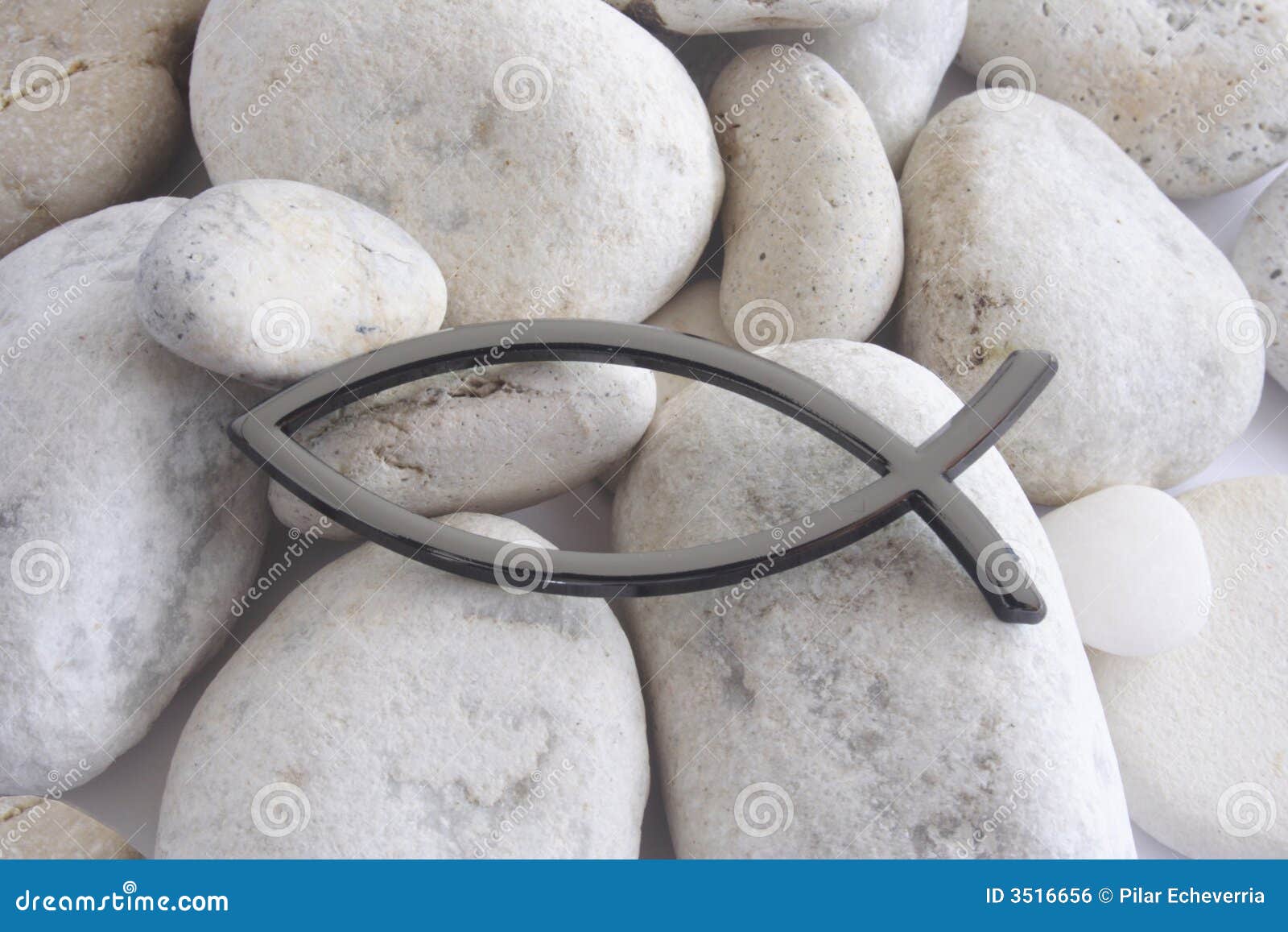 Religion Fish sign stock photo. Image of bible, church - 3516656