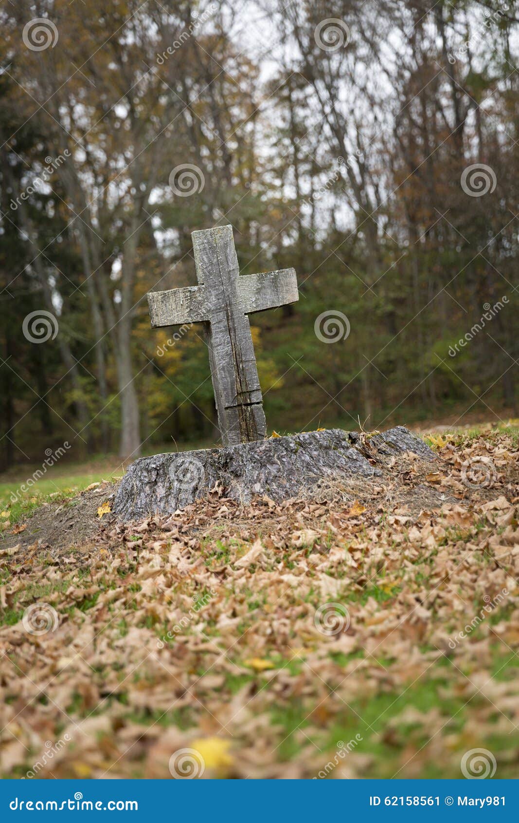Religious Cross Carved in Tree Stump Stock Image - Image of ...
