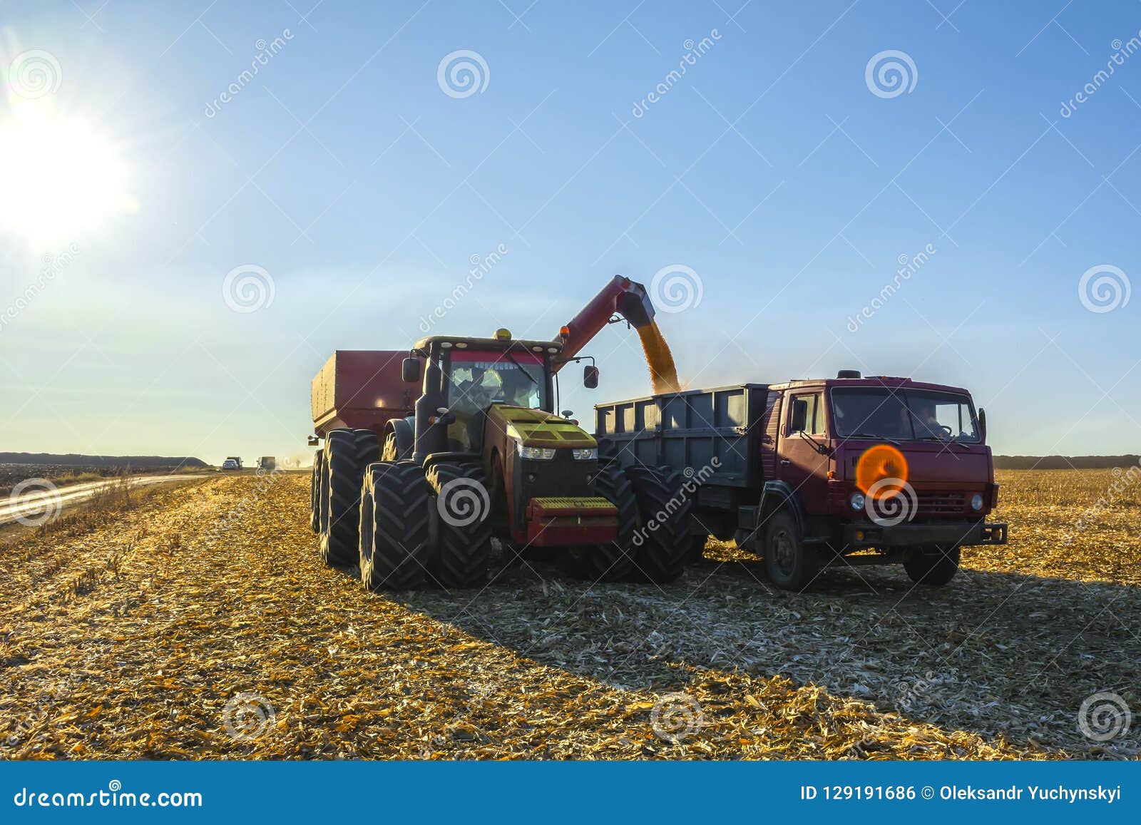 Reloading of Corn during Harvest from Loader To Truck Stock Photo ...