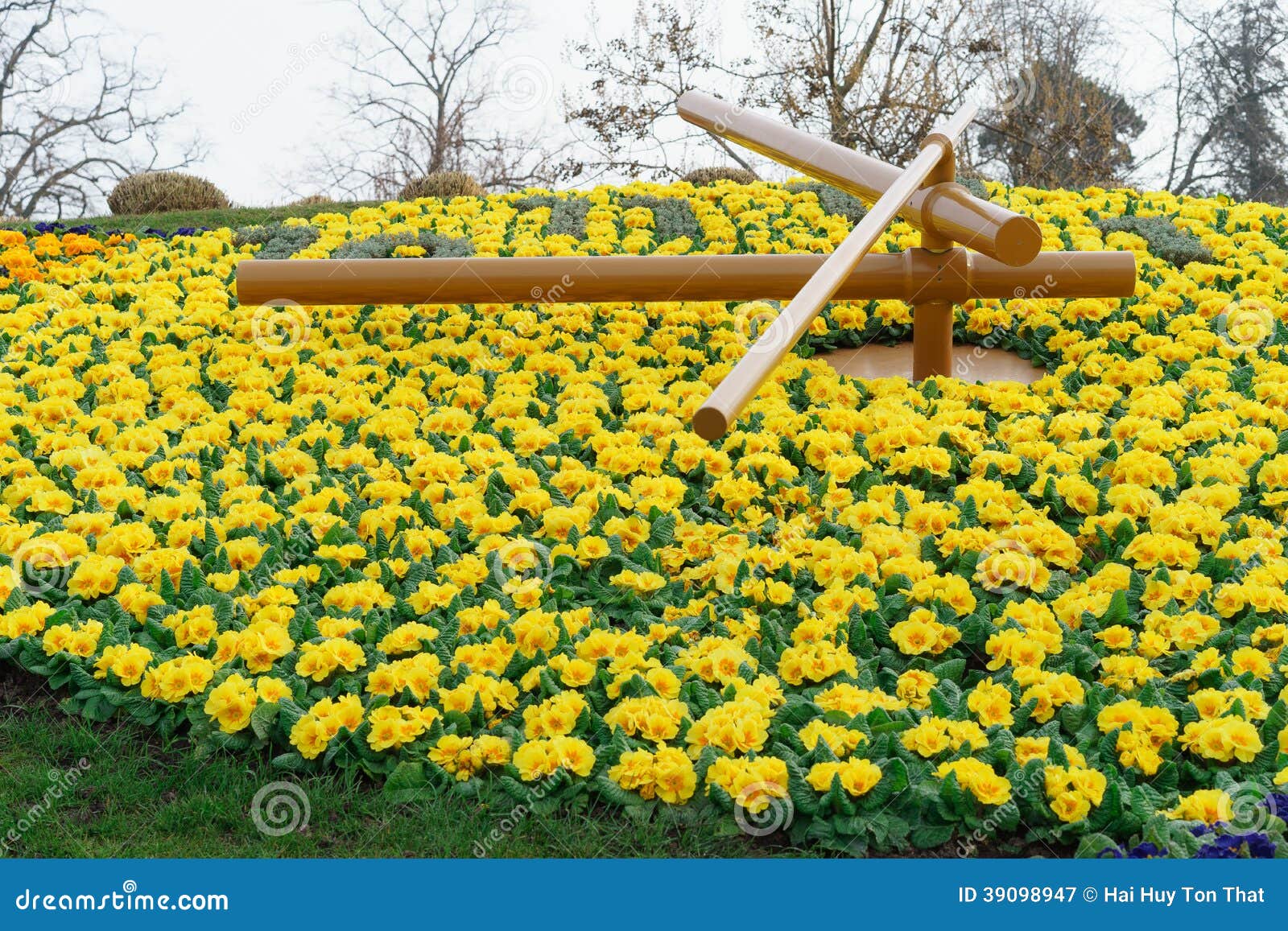 Reloj De La Flor De Ginebra Imagen de archivo - Imagen de hermoso ...